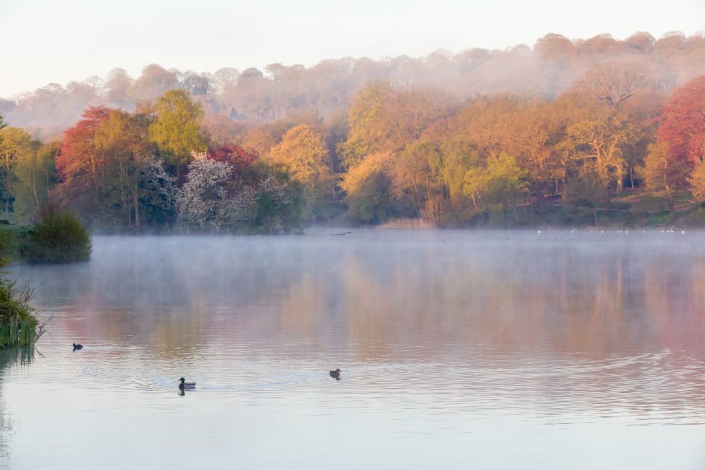 Things to see & do at Trentham Gardens - Trentham Estate