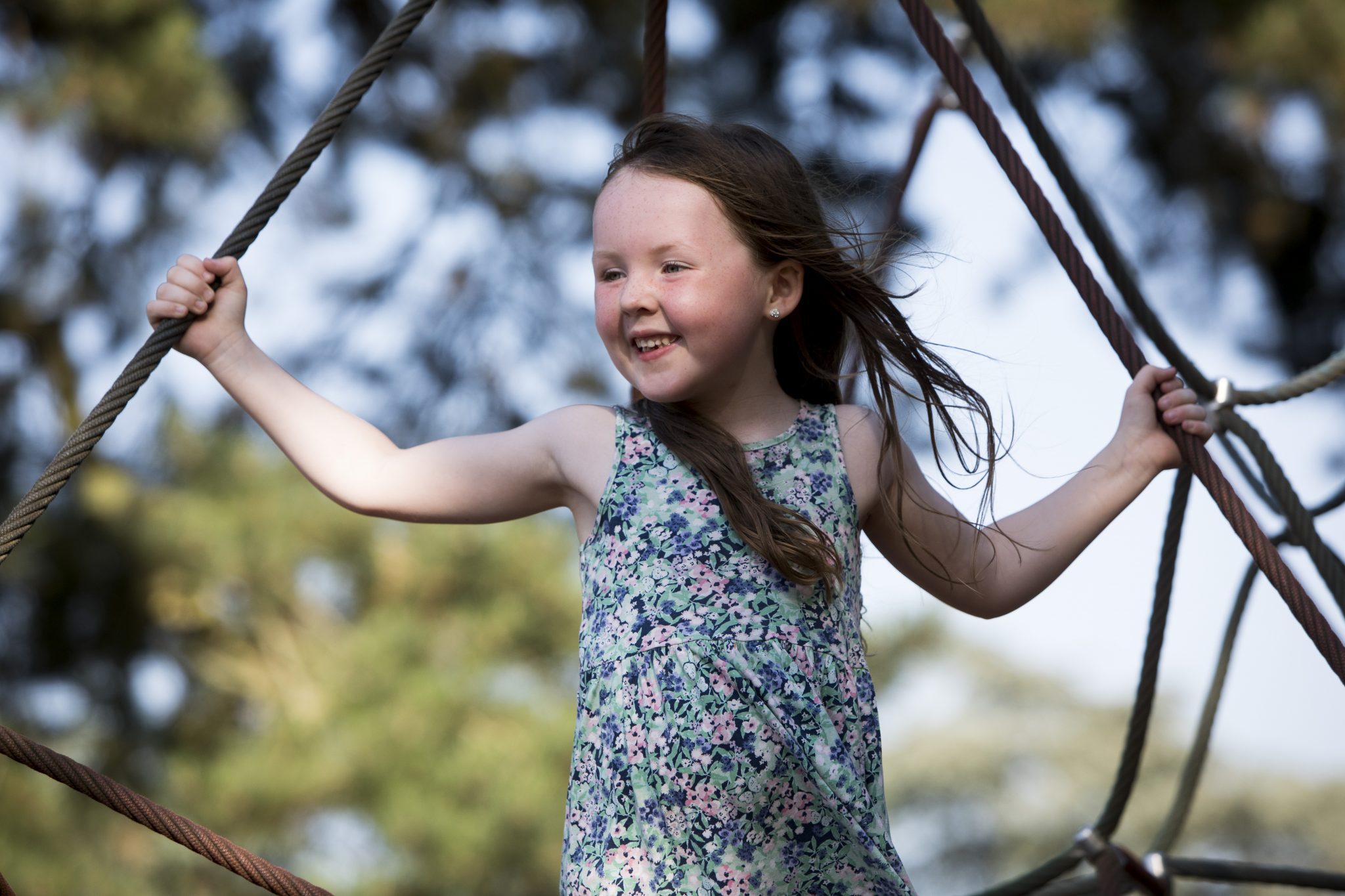 Home - Trentham Estate