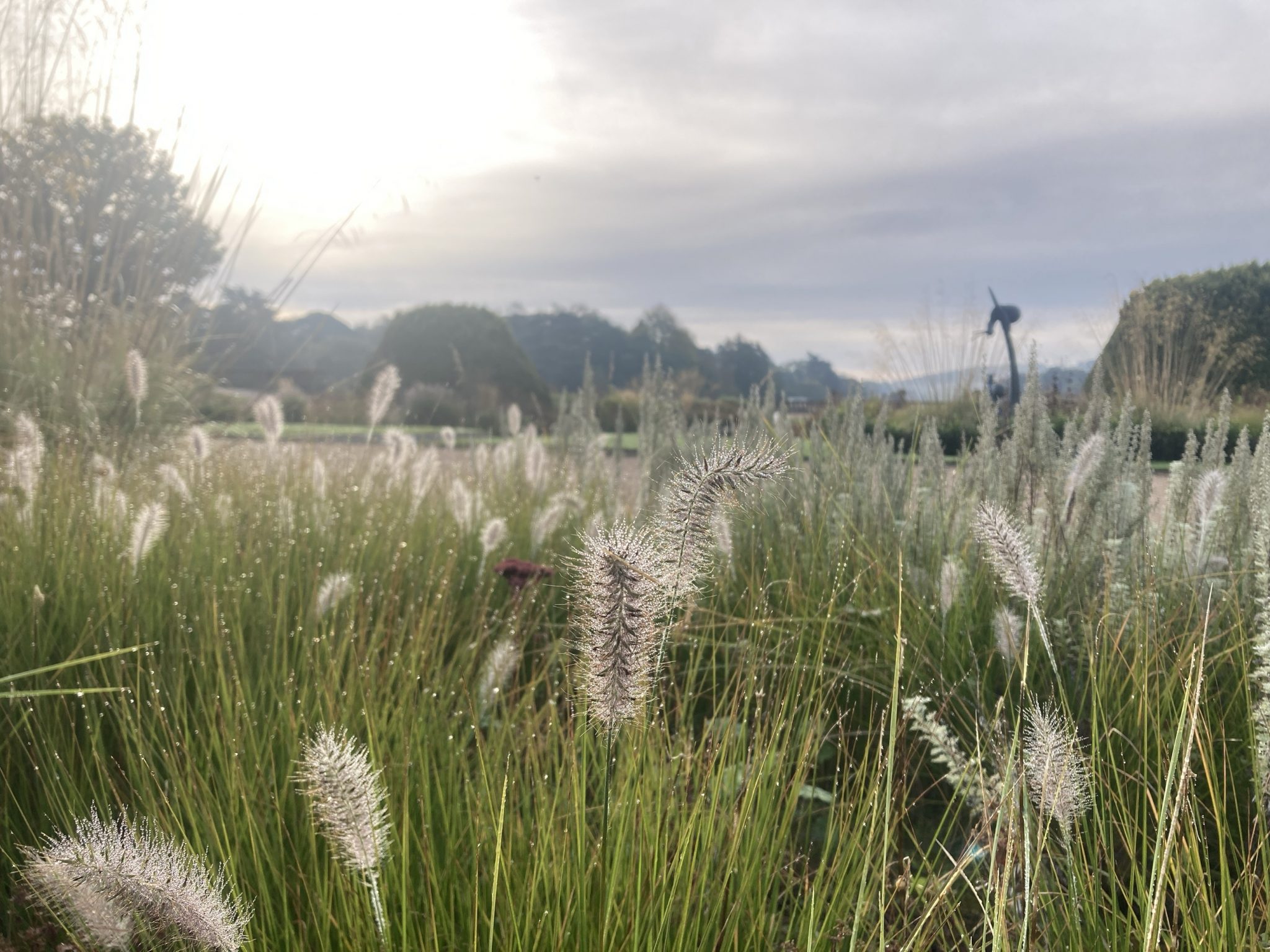 A word from our beaver & wildlife ranger - Trentham Estate
