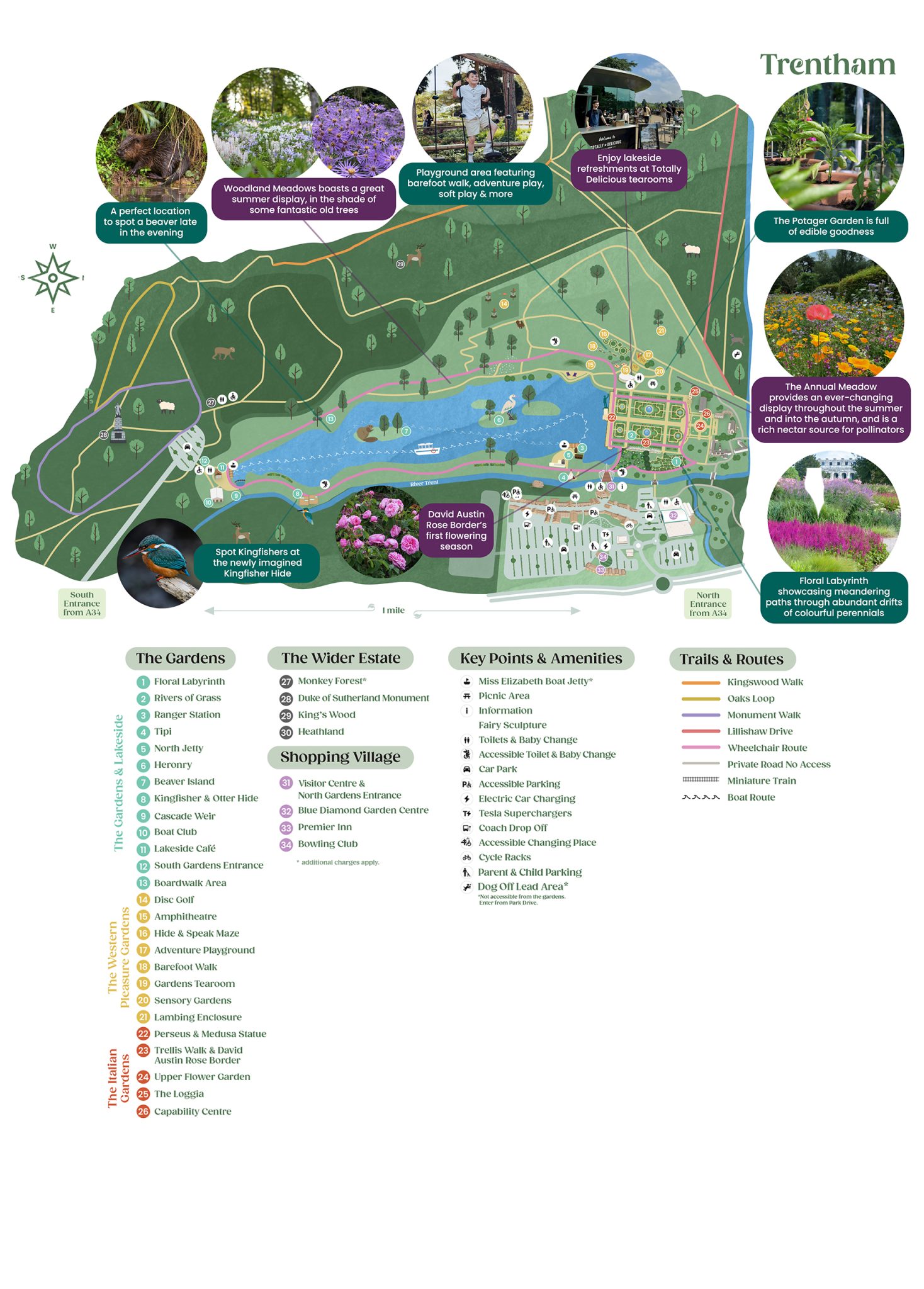 Map of Trentham Gardens | Plan Your Visit - Trentham Estate